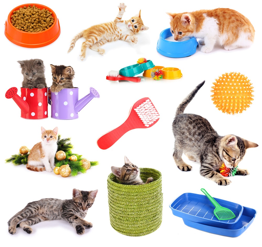 Pet Product – integration system